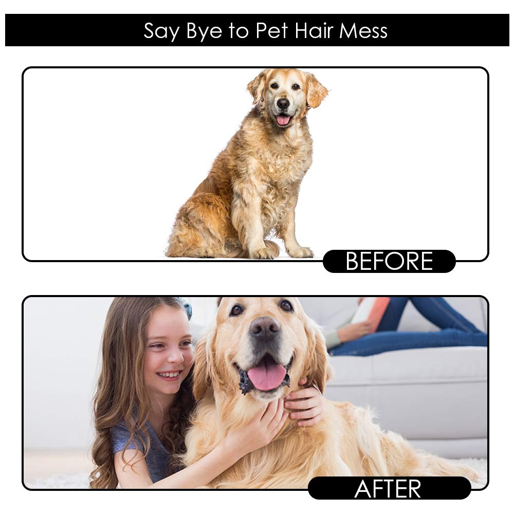 Why It Is Important to Clean Your Pet’s Hair – DELOMO