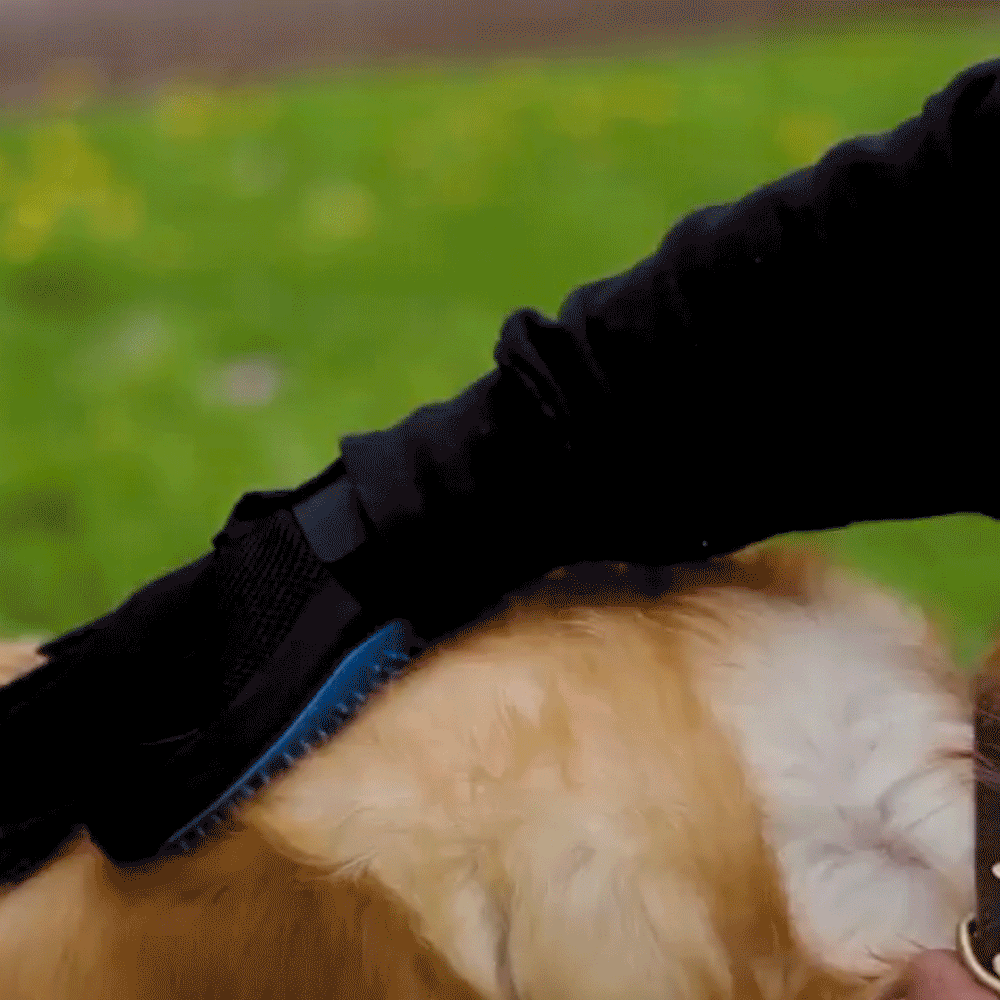 Delomo | Pet Hair Removers & Gloves | One Million Customers' Choice ...
