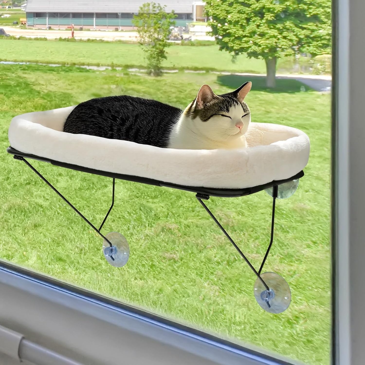Foldable Cat Window Perch – DELOMO